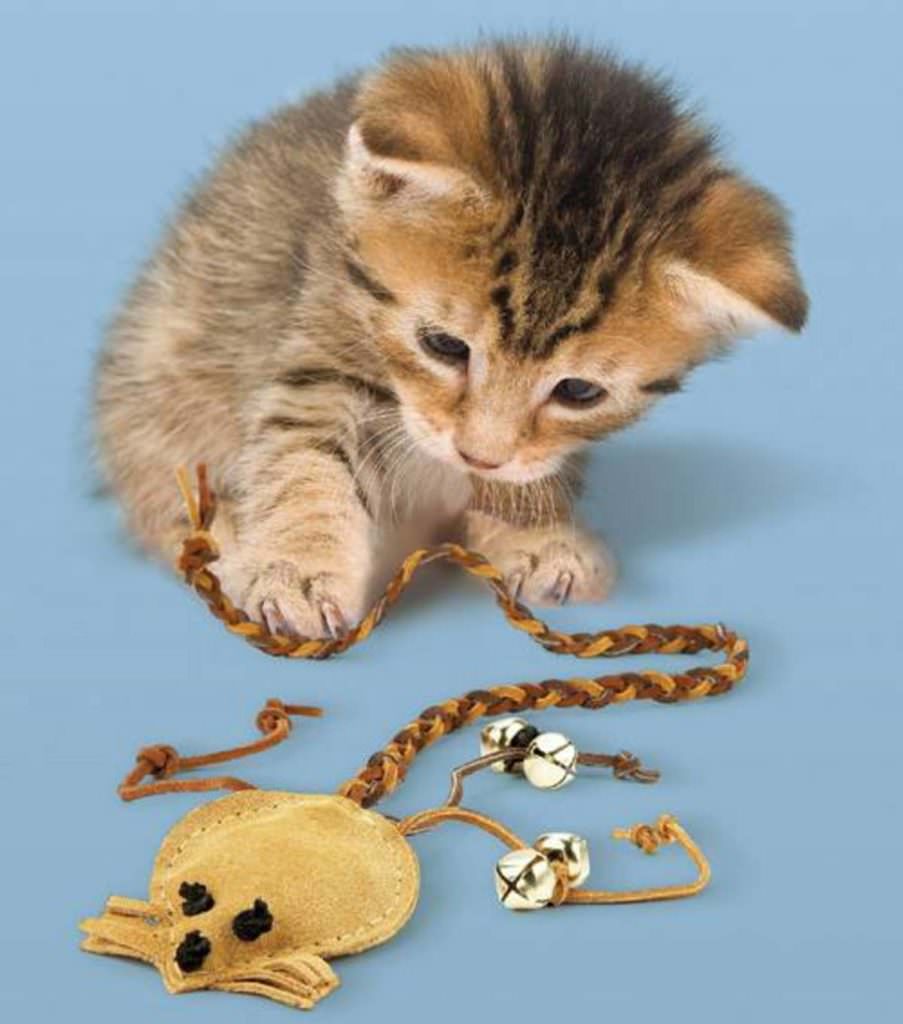 25 Free Patterns For DIY Cat Items