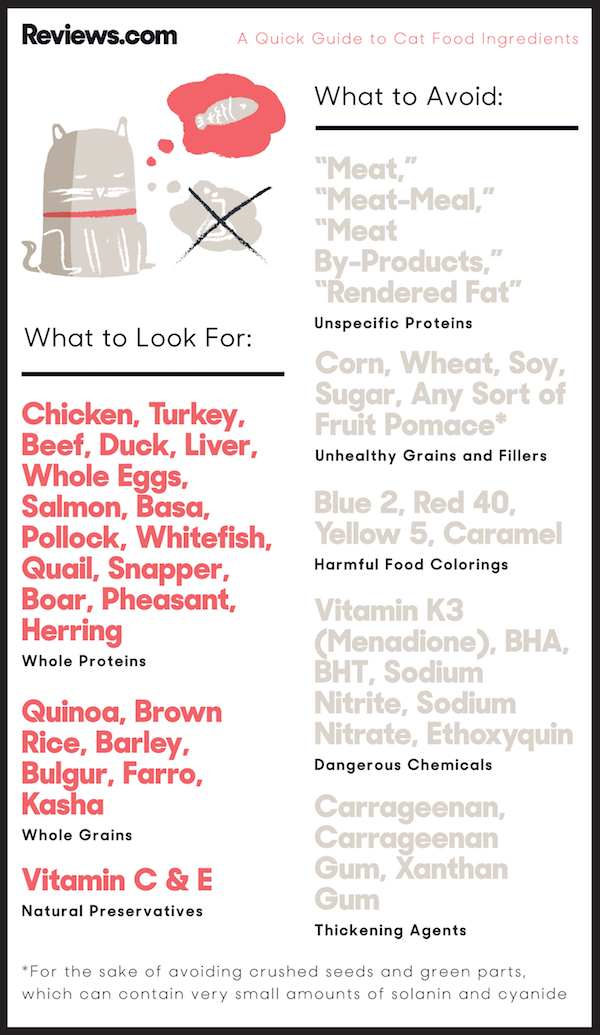 The Ingredients You Want Don t Want To See On Your Cat s Food Label The Ingredients You Want Don t Want To See On Your Cat s Food Label