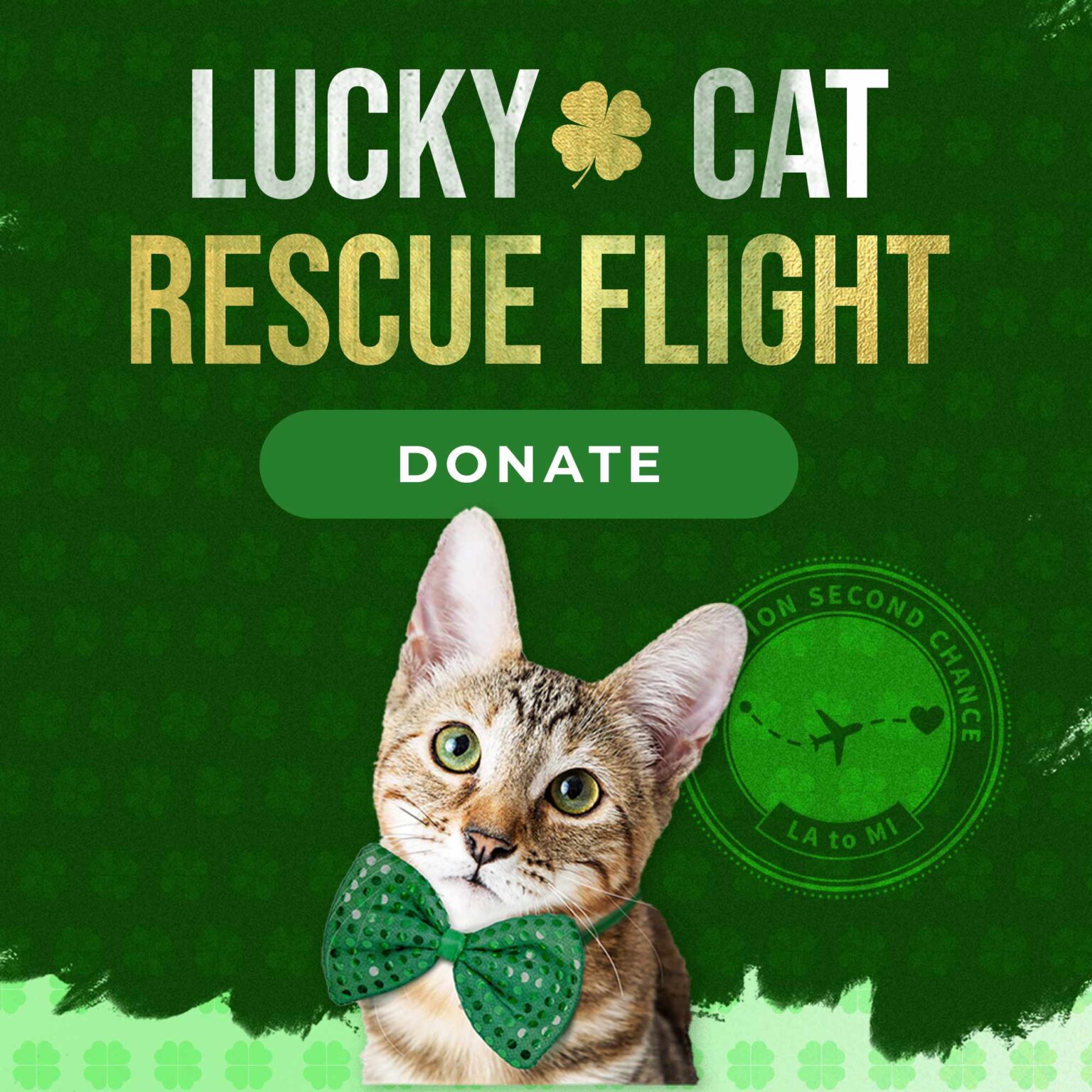 Products Archive - iHeartCats.com
