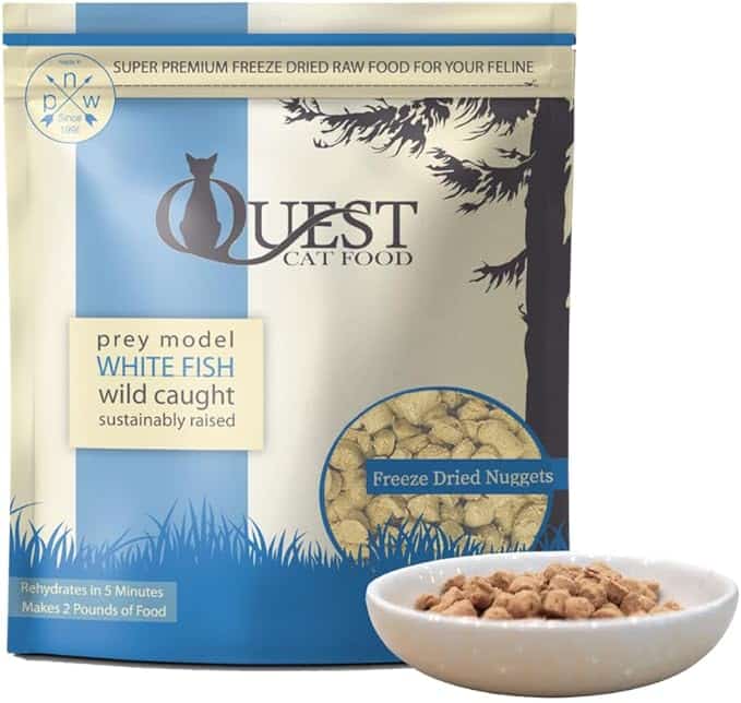 9 Best Fish Cat Foods