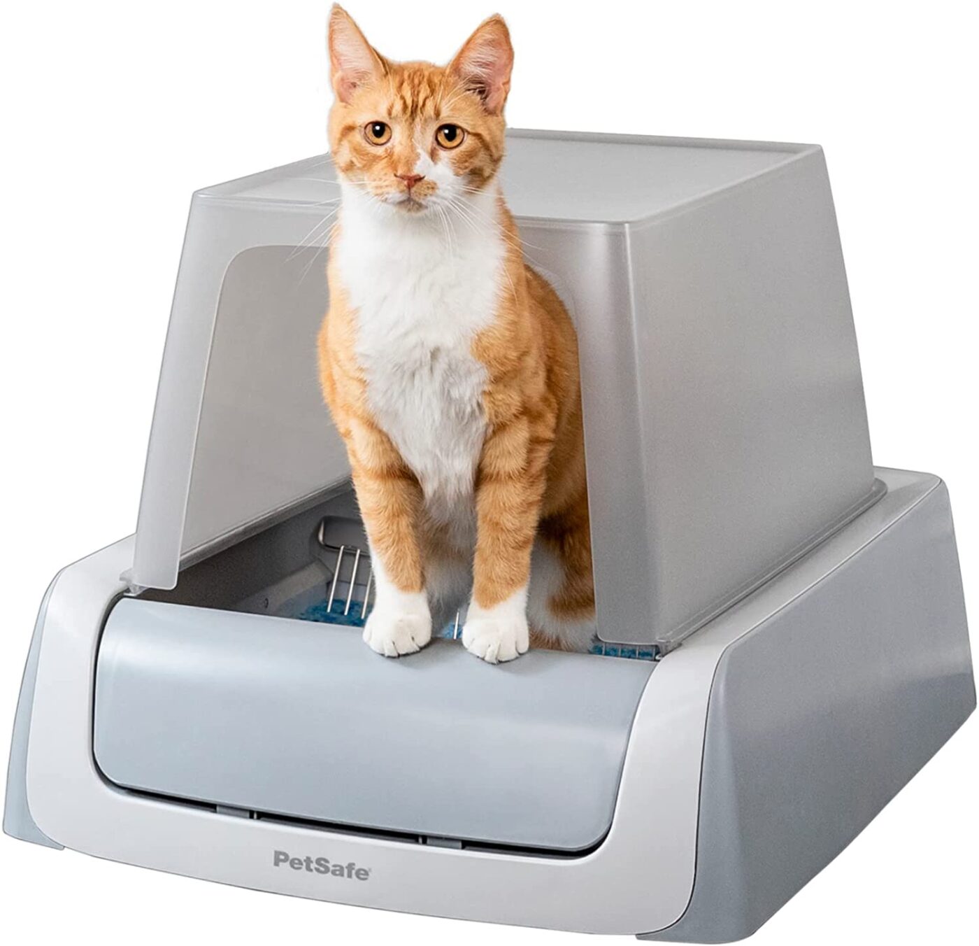 10 Best Self Cleaning Litter Boxes for Cats [2026]