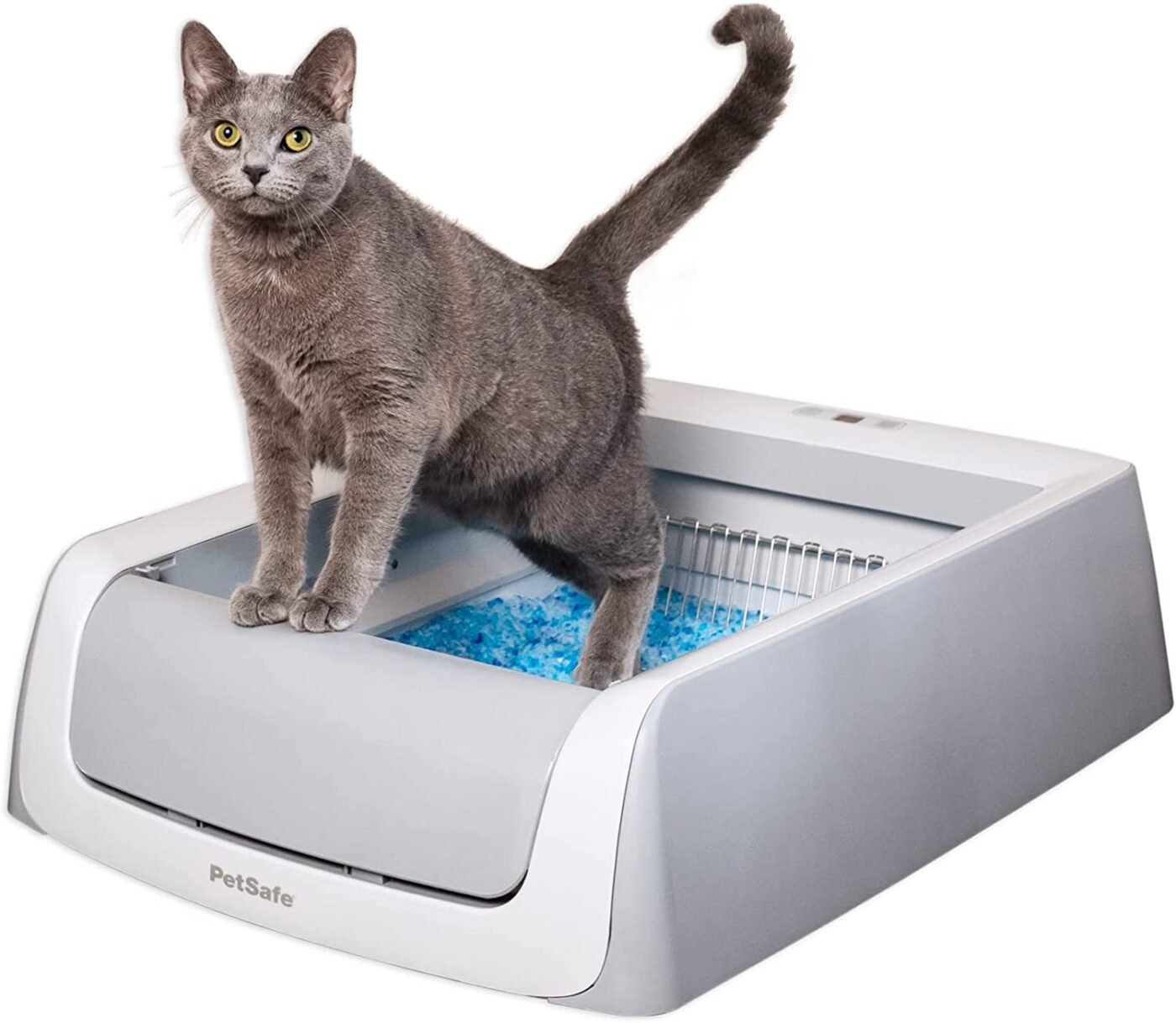 9 Best Self Cleaning Litter Boxes for Cats [2024]