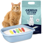 9 Best Silica Cat Litters