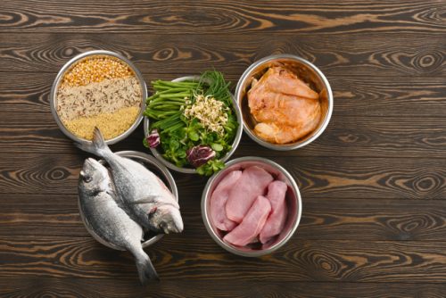 5 Best Cat Food Subscriptions in 2026: Fresh Meals Delivered to Your Door