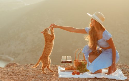 Celebrate The Felines: The Ultimate List Of Annual Cat Days and Holidays