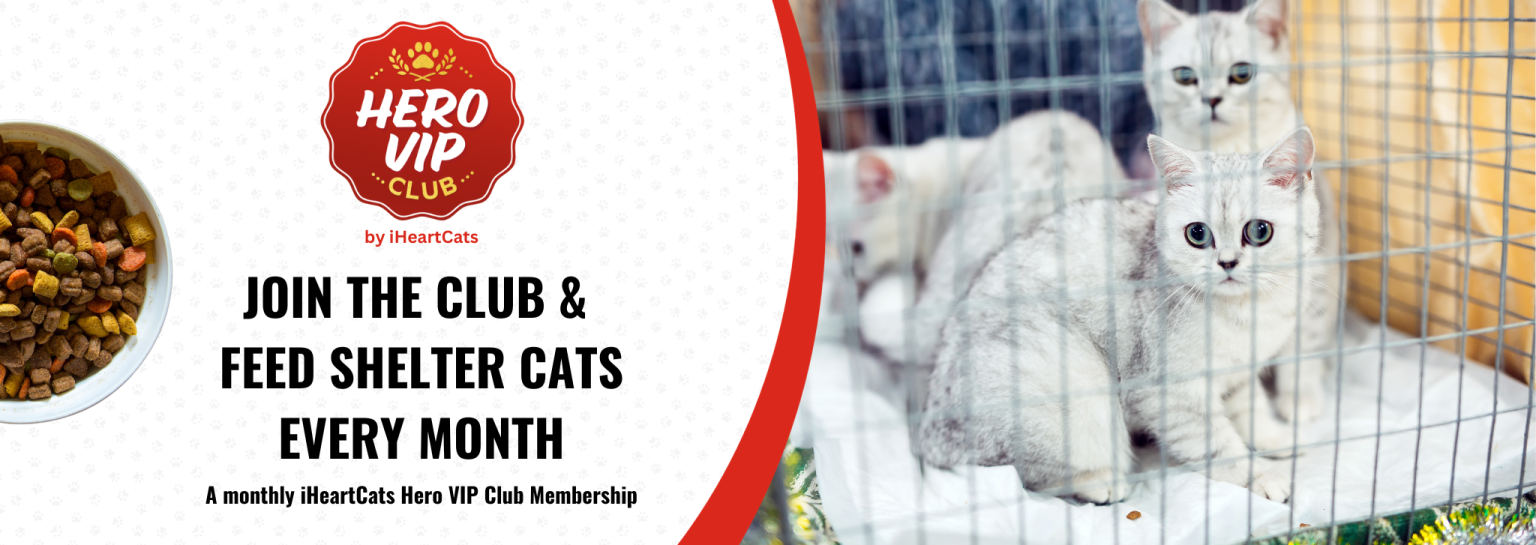 iHeartCats Hero Vip Club - iHeartCats.com