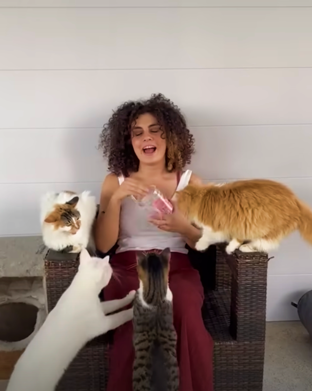 Woman Fearful Of Cats Sets Out To Save As Many As She Can