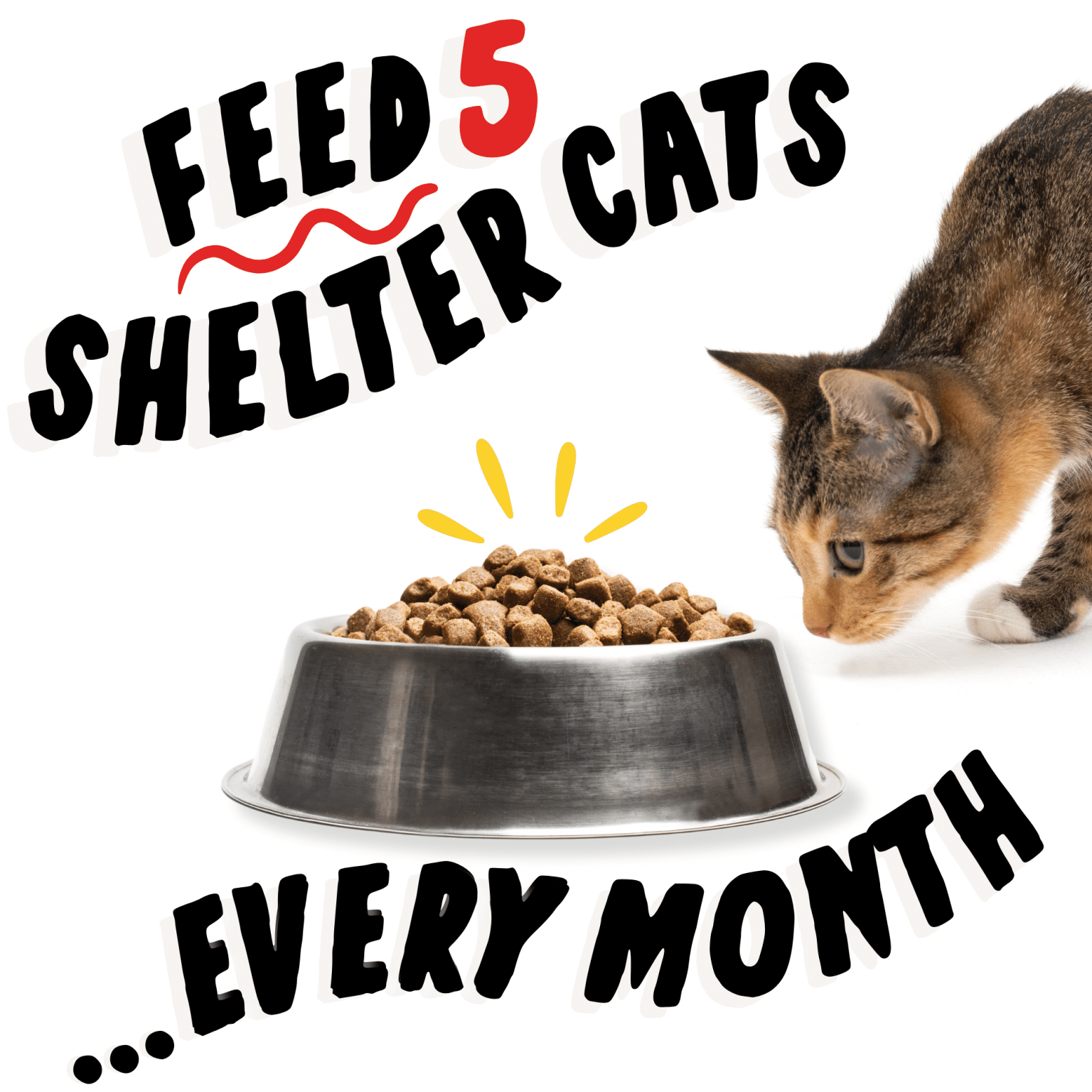 iHeartCats: Mission Driven Cat Products + Expert Health Advice