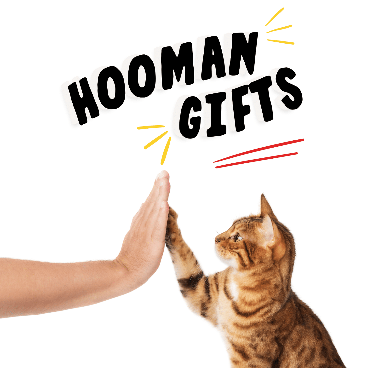 IHC Home - iHeartCats.com