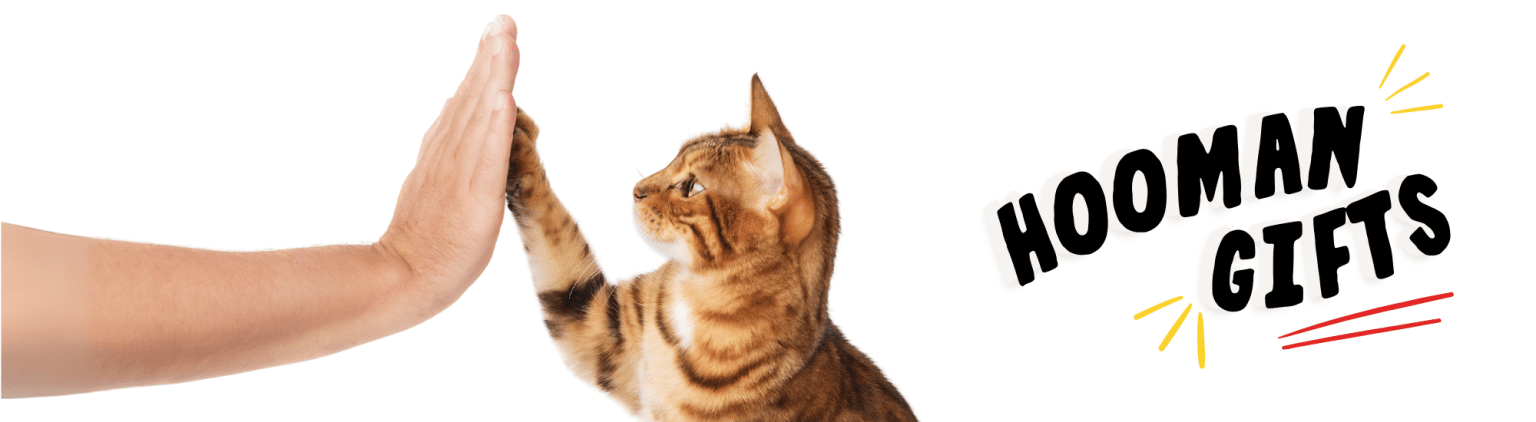IHC Home - iHeartCats.com