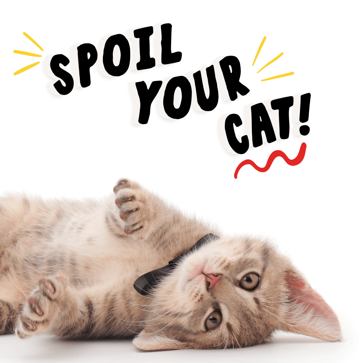 IHC Home - iHeartCats.com