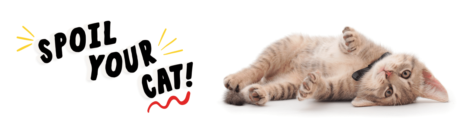IHC Home - iHeartCats.com
