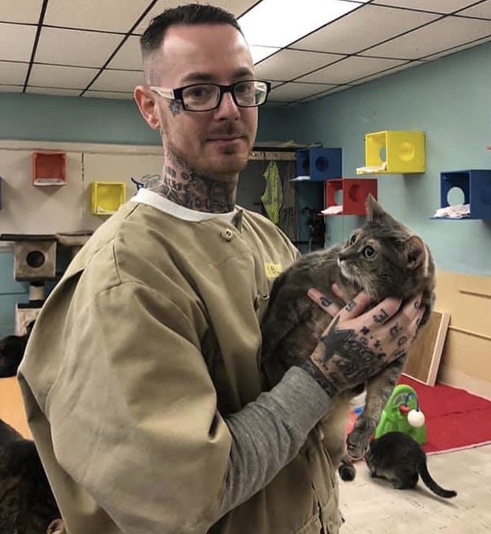 Shelter Cat Prison Program Gives Inmates Opportunity To Show Their Soft ...