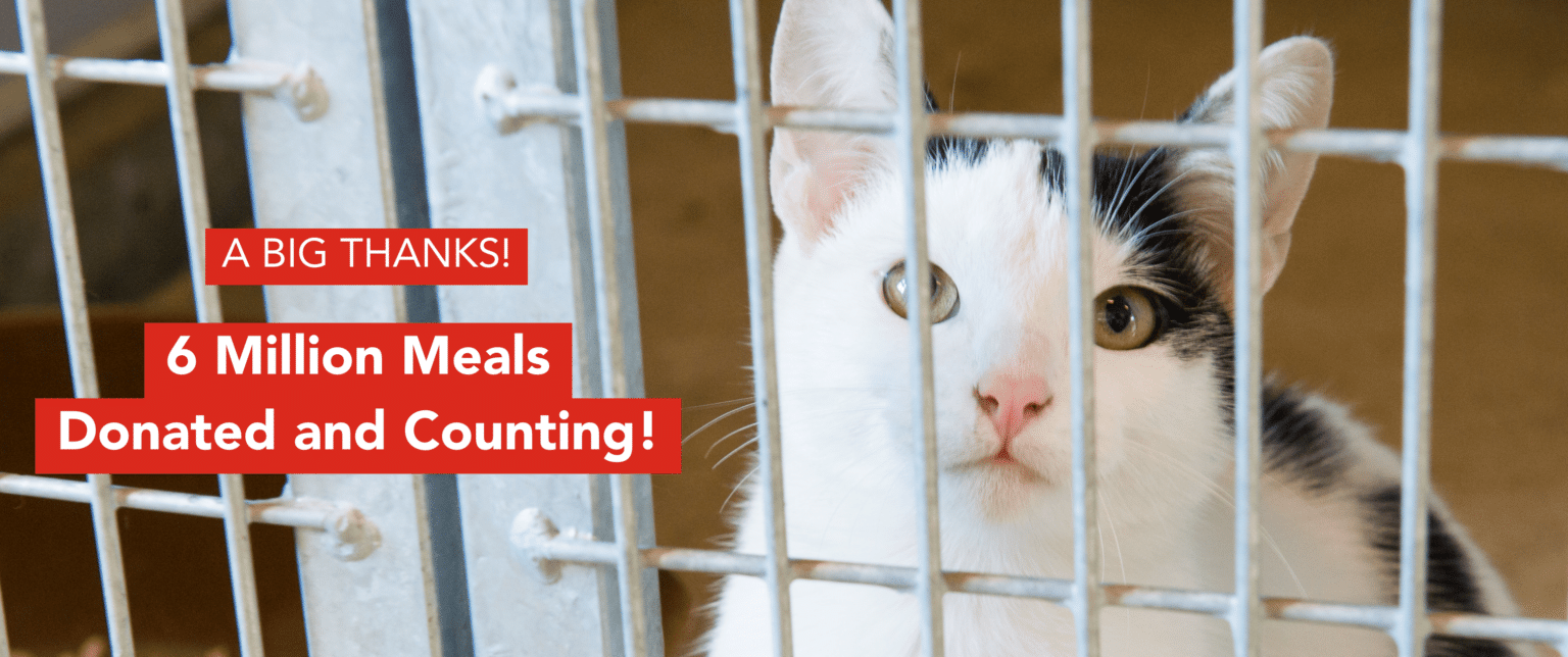 - iHeartCats.com