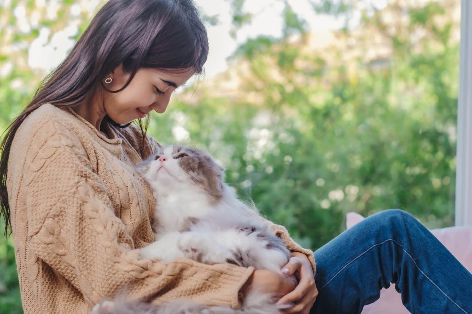 15 Reasons Cats Make the Best Companions