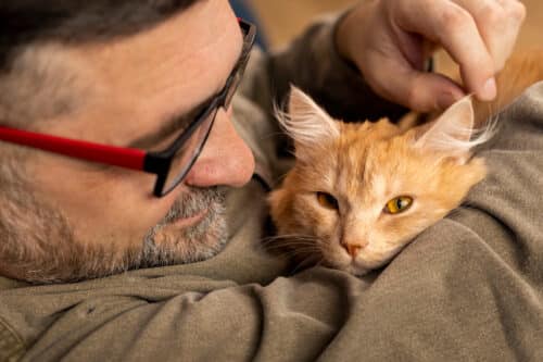 30 Best Father's Day Gifts for Cat Dads in 2026