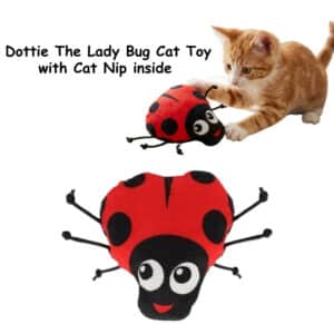 Project Play™: For Every Toy You Buy, We'll Donate One To A Shelter Cat ...