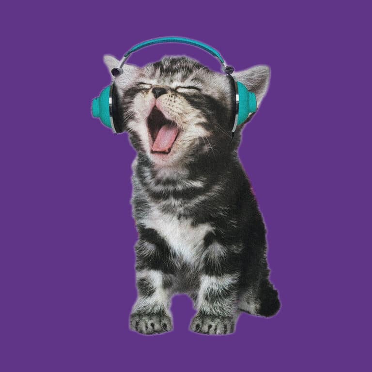 Rock Out Kitty Standard Tee Purple - iHeartCats.com